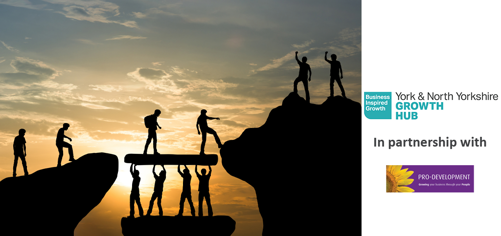 FREE Webinar: Empowering your team - learning to delegate and let go. FREE Webinar: Empowering your team - learning to delegate and let go.